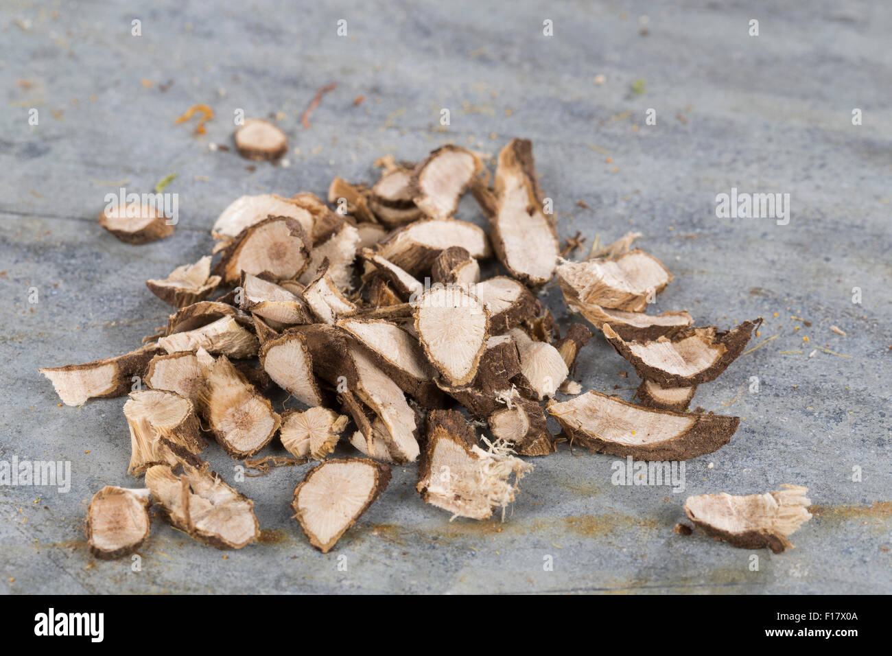 Spiny restharrow, root, Dornige Hauhechel, Dorniger Hauhechel ...