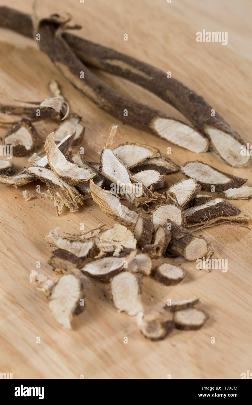 Spiny restharrow, root, Dornige Hauhechel, Dorniger Hauhechel ...