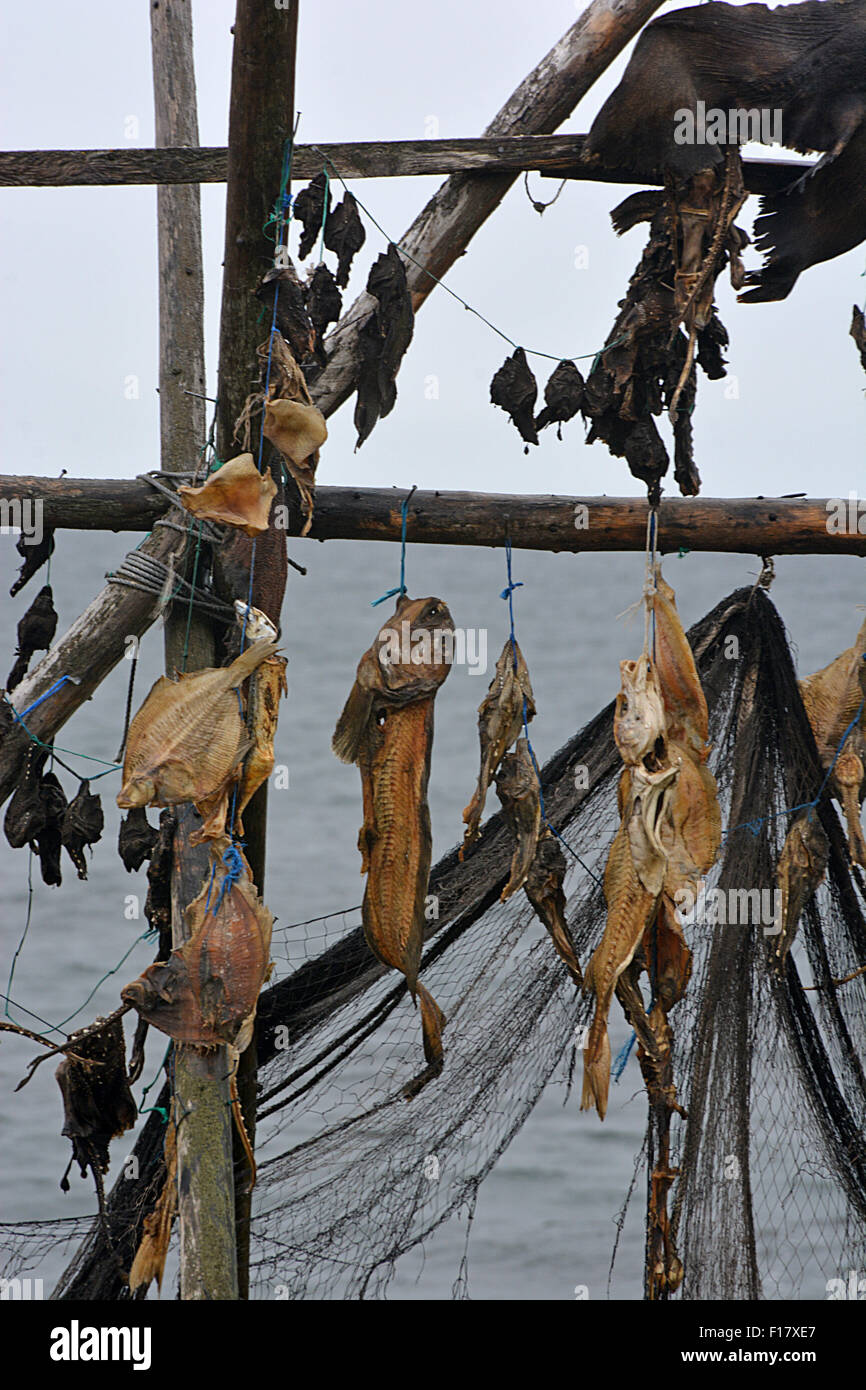Iceland dried fish hi-res stock photography and images - Alamy