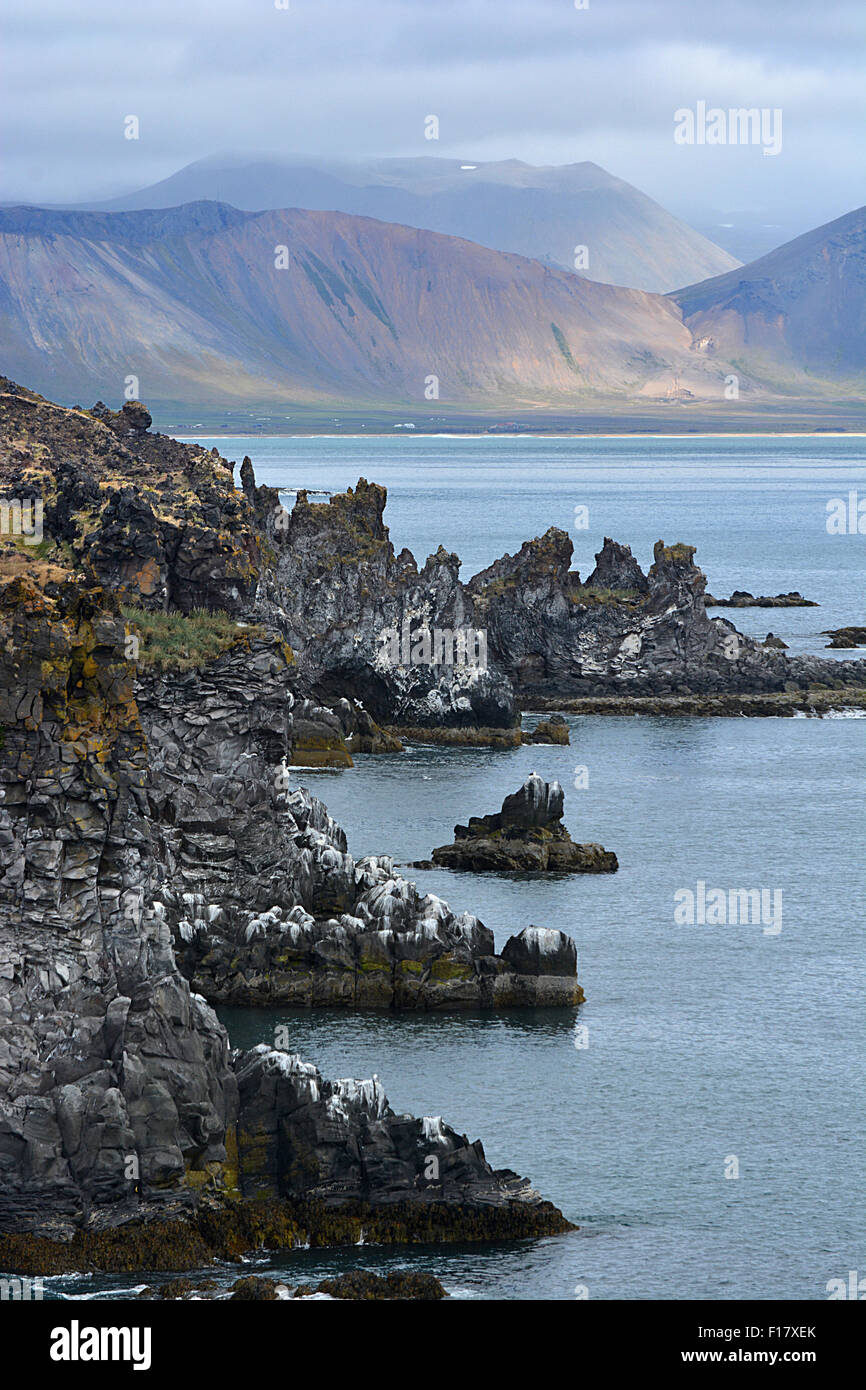Iceland sea cliffs nesting areas Iceland natural scenery collection ...