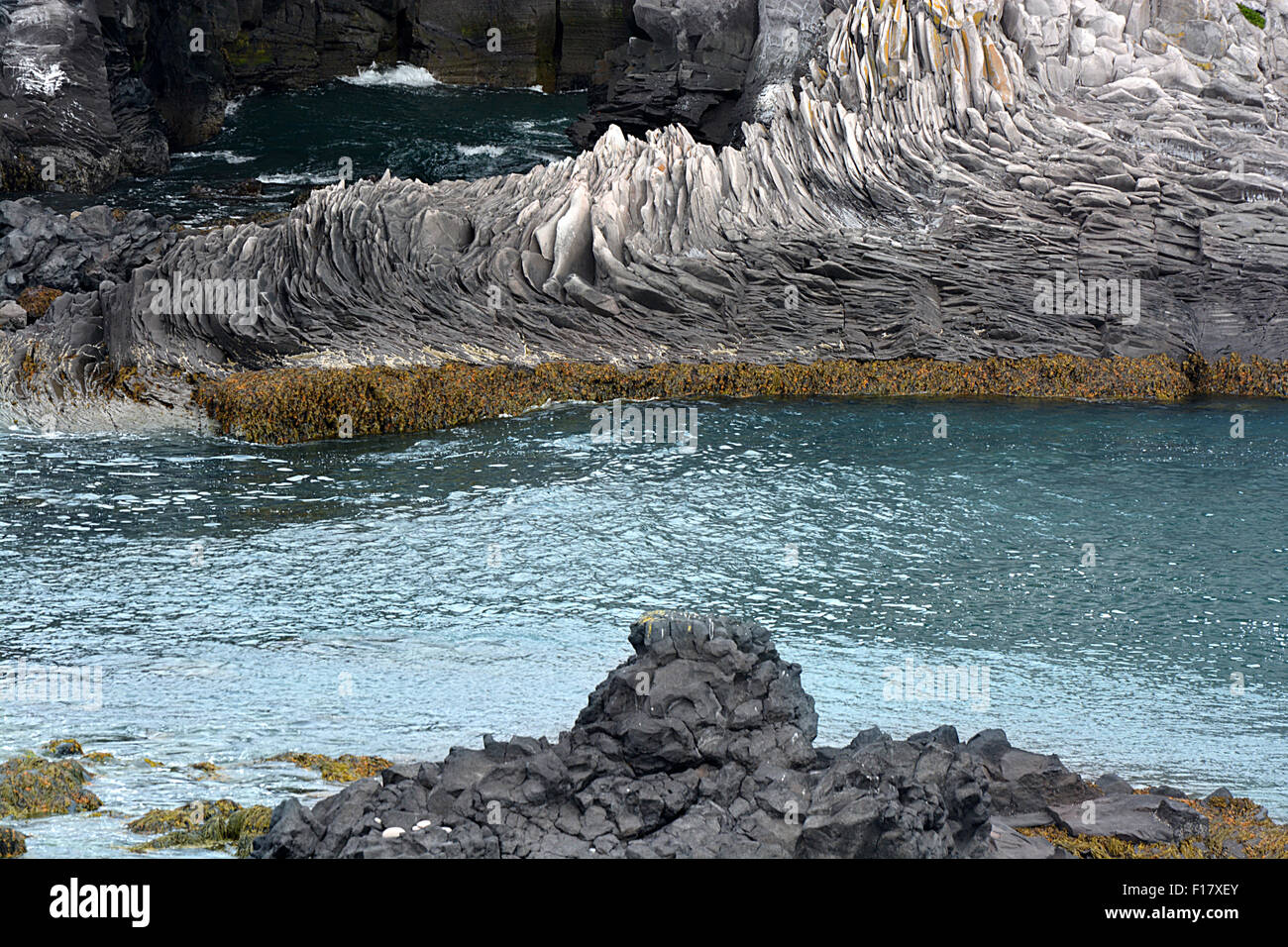 Iceland sea cliffs nesting areas Iceland natural scenery collection ...