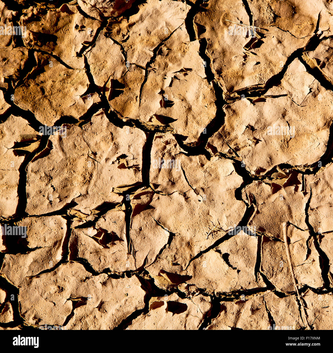 cracked sand in morocco africa desert abstract macro Stock Photo - Alamy