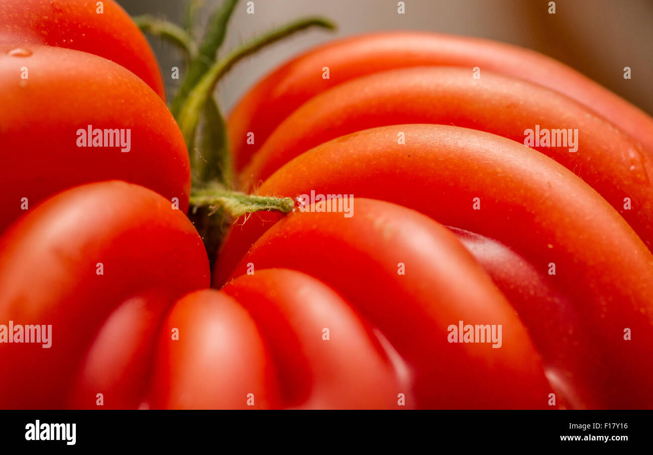 Deformed red tomato hi-res stock photography and images - Alamy