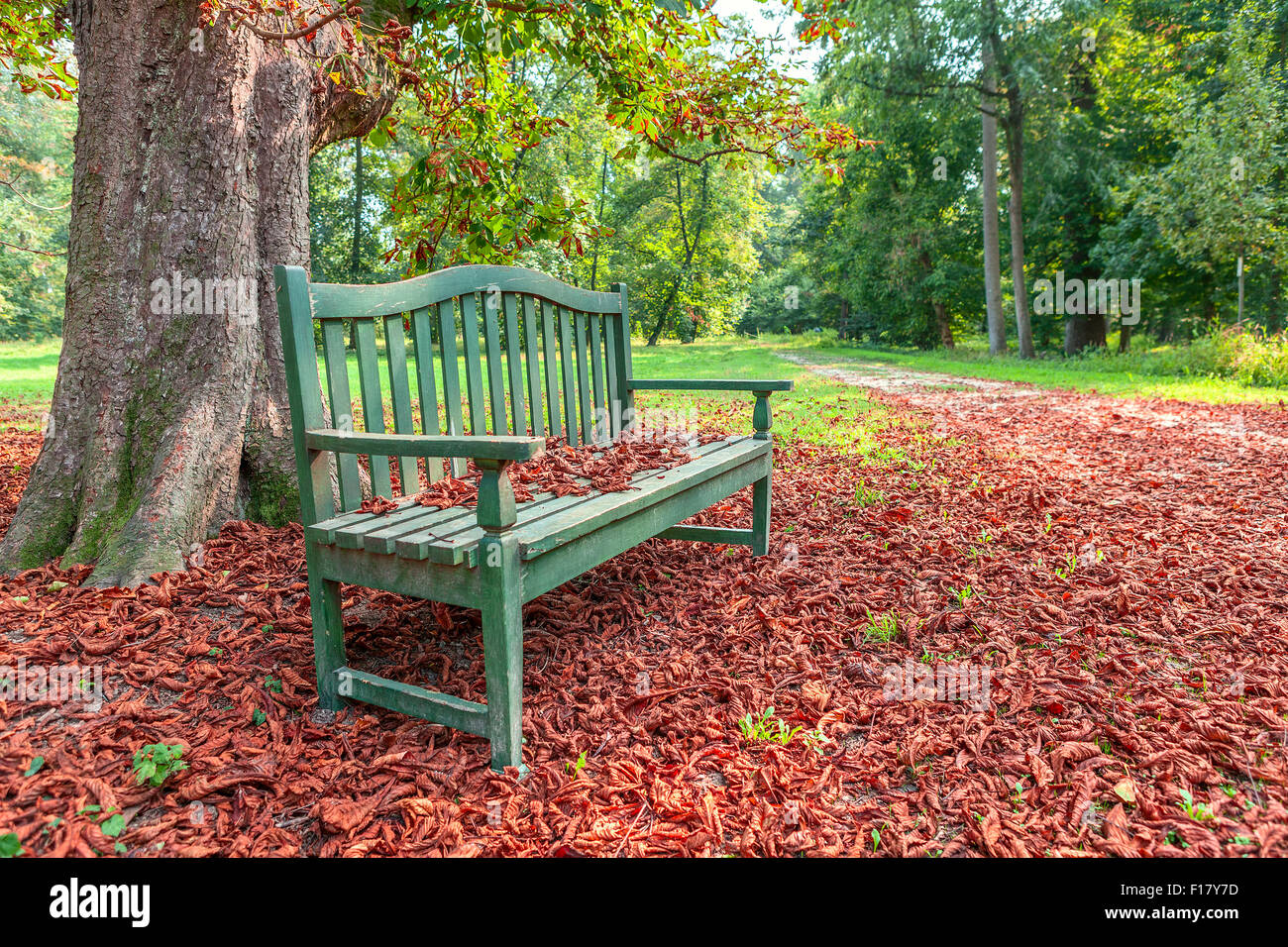 Bench under tree hi-res stock photography and images - Alamy