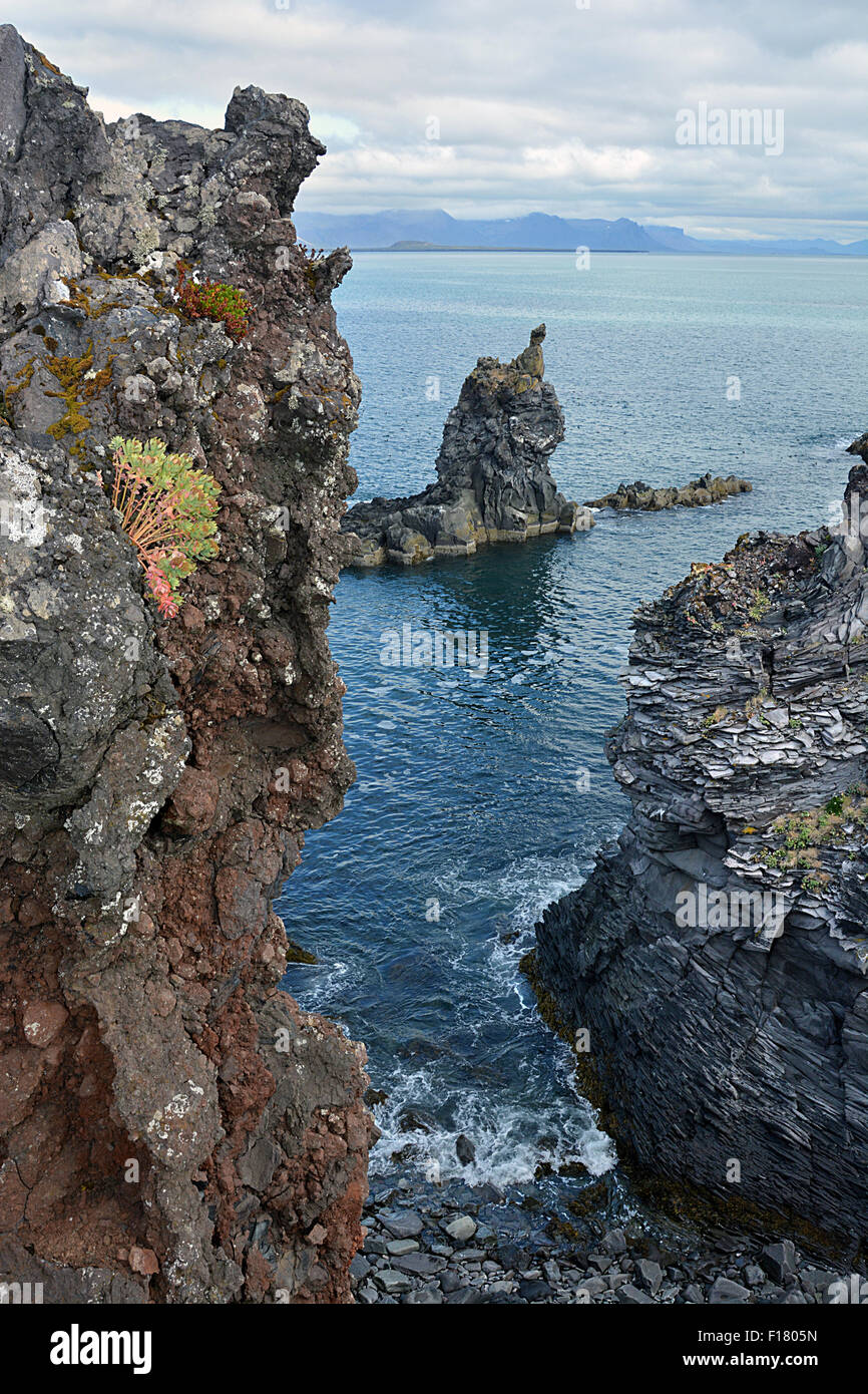 Iceland sea cliffs nesting areas Iceland natural scenery collection ...