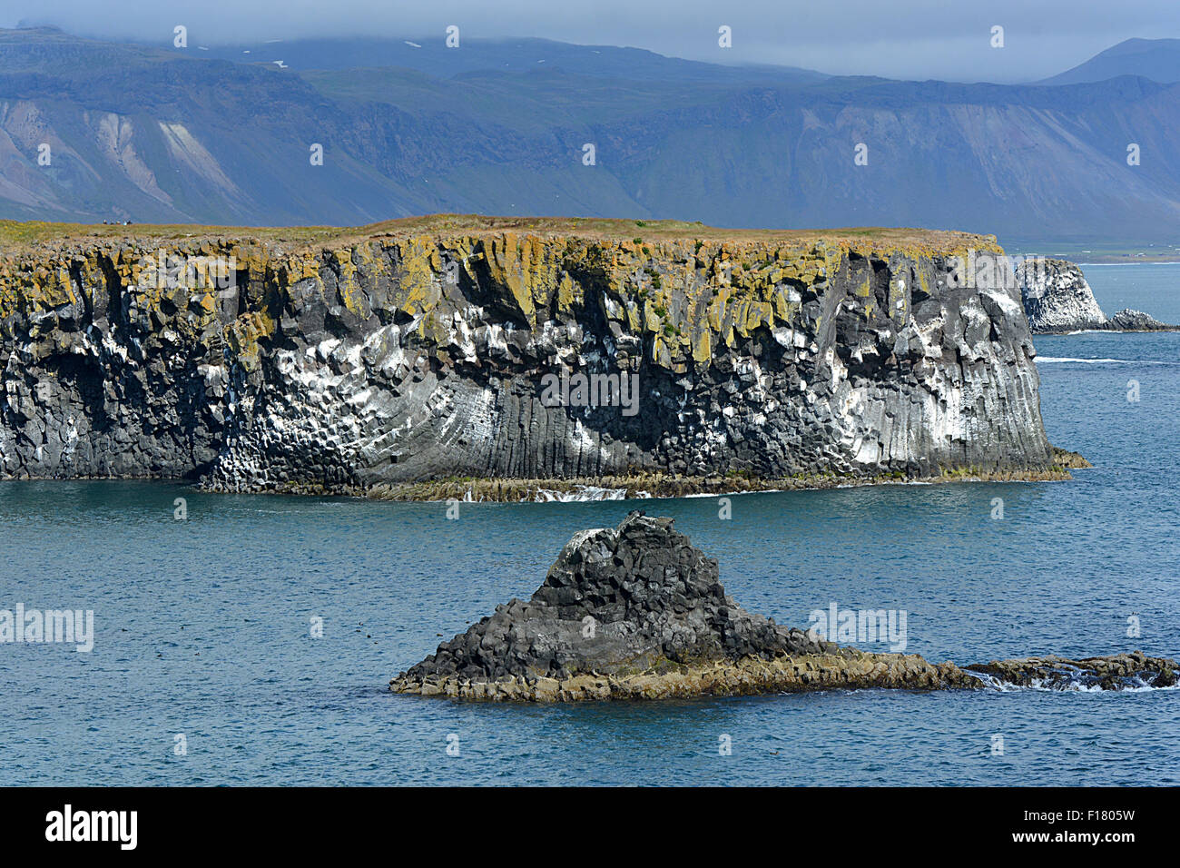 Iceland sea cliffs nesting areas Iceland natural scenery collection ...