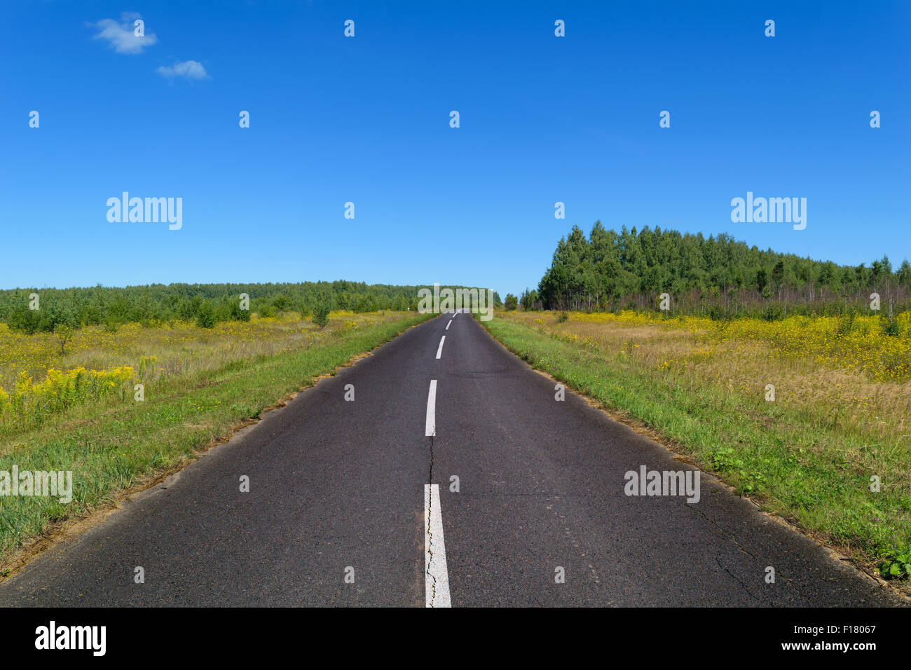 Rural asphalt road with markings that goes into the woods and passing ...