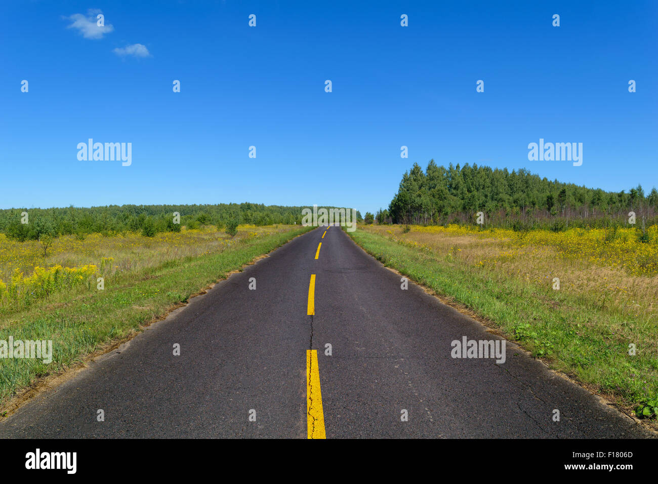 Rural asphalt road with markings that goes into the woods and passing ...