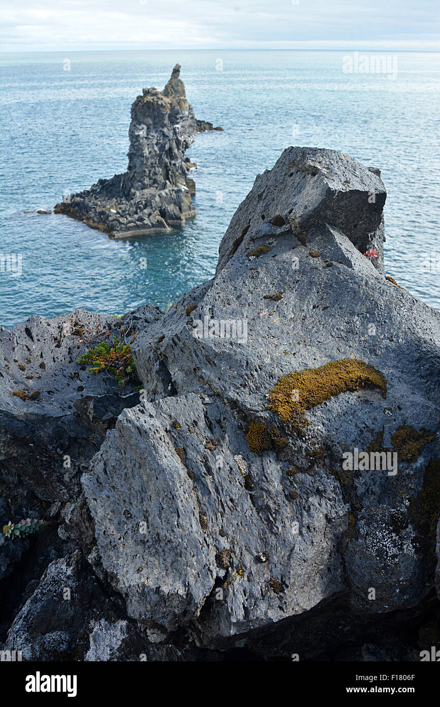 Iceland sea cliffs nesting areas Iceland natural scenery collection ...