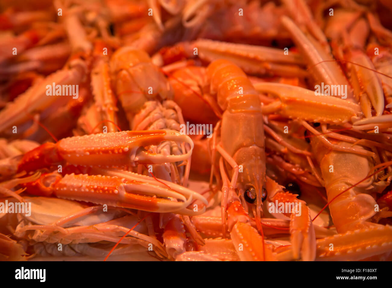 Scampi on the fish market Stock Photo - Alamy