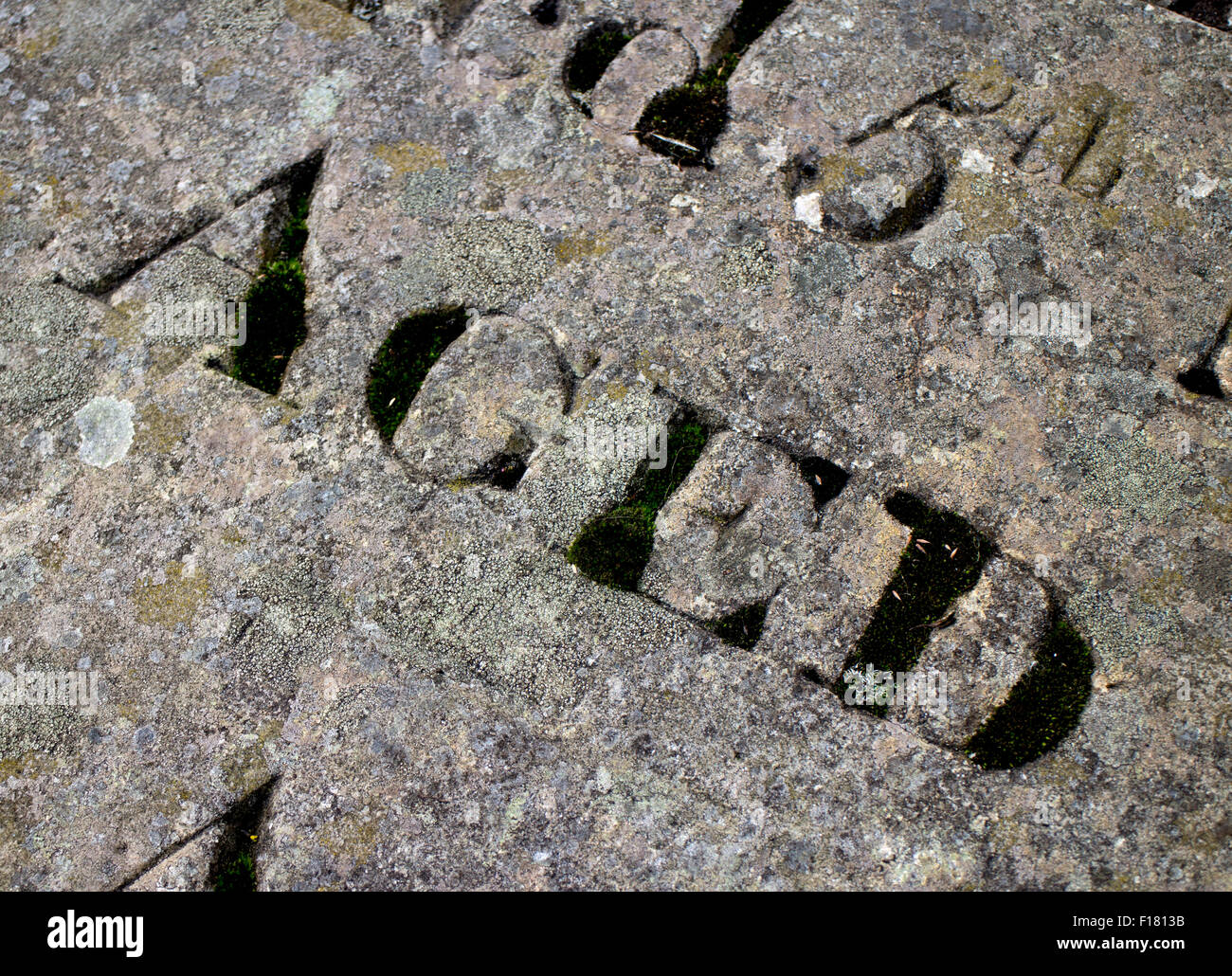 "Aged" word on an old gravestone filled with moss Stock Photo - Alamy