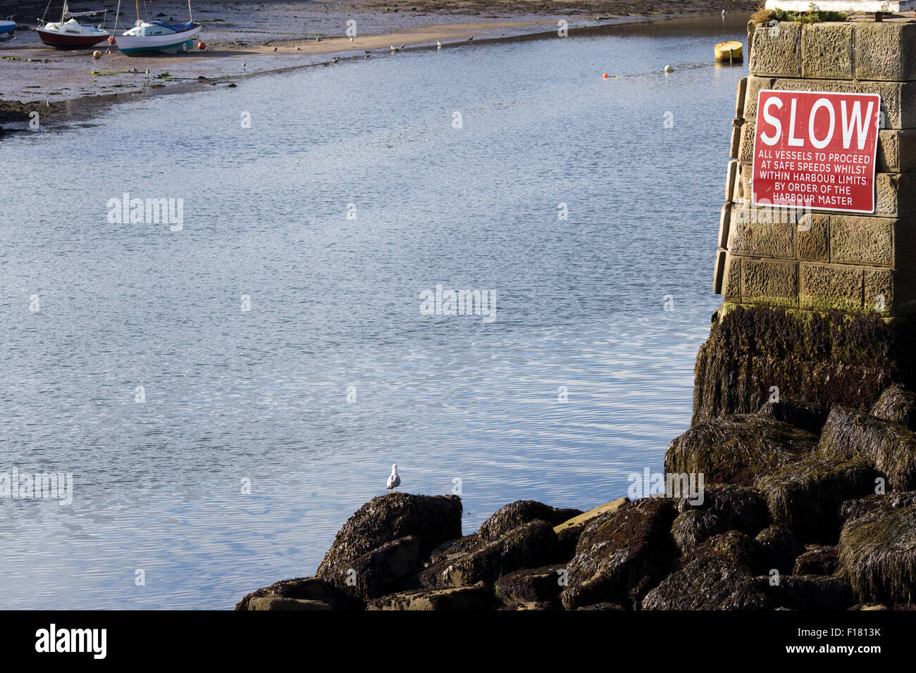 Whitby lanes hi-res stock photography and images - Alamy