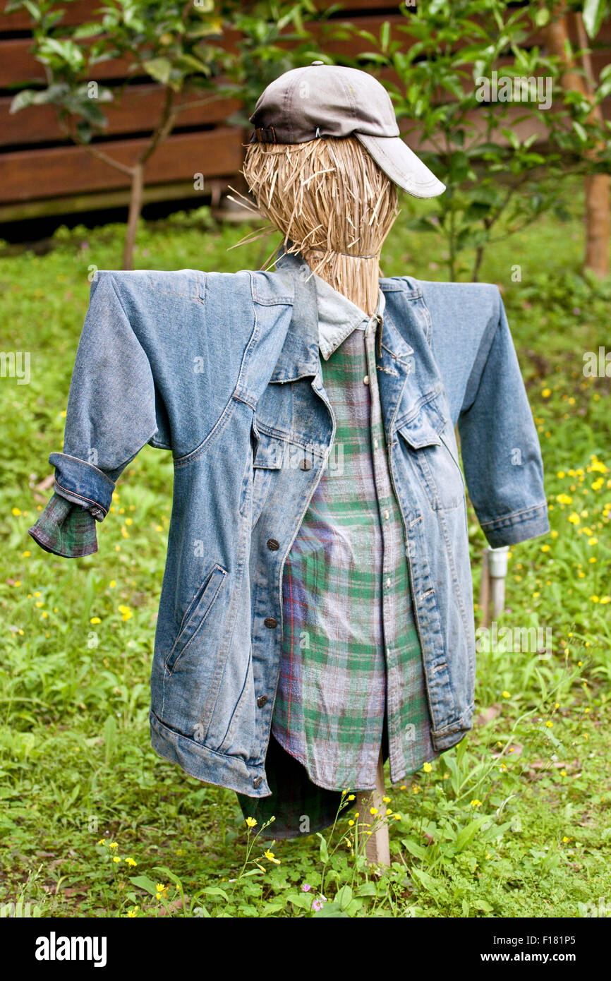 scarecrow in a farm Stock Photo - Alamy