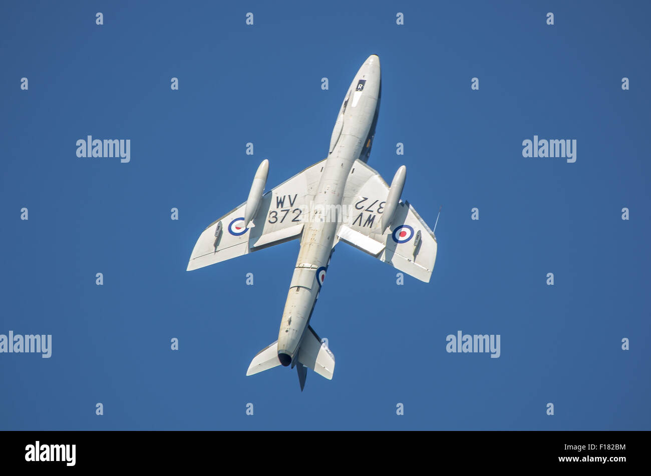Pilot Andy Hill flying Hawker Hunter WV372 at the Shoreham Airshow ...