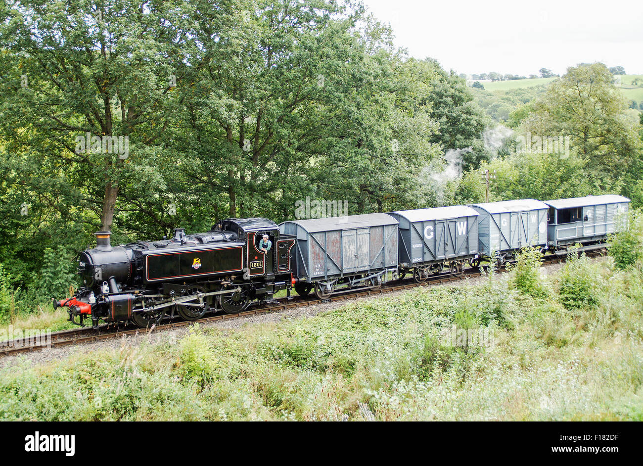 1501 GWR 0-6-0PT pulling a freight train on the SVR approaching Highley ...