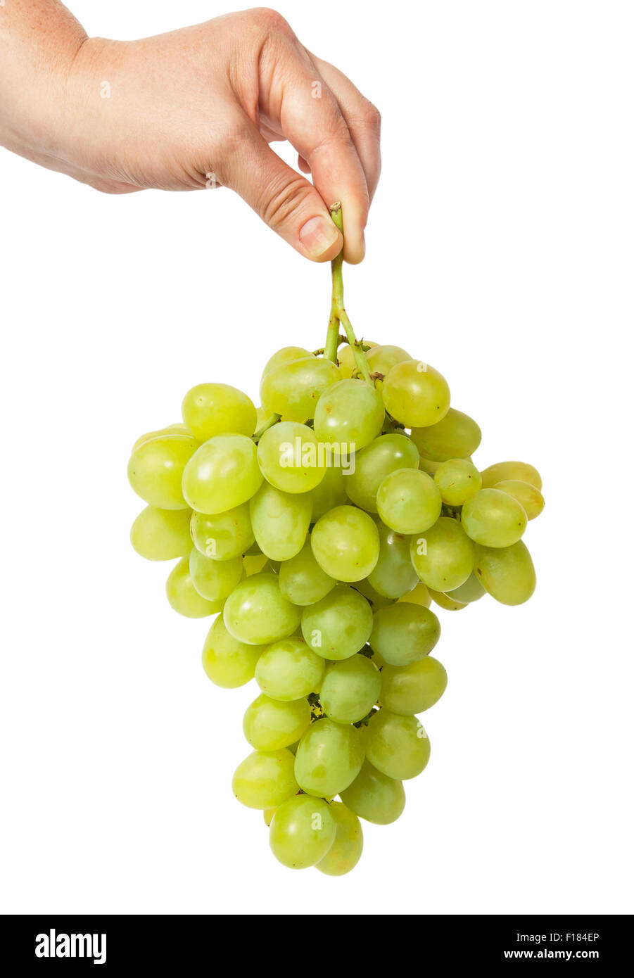 Hand holding a bunch of grapes isolated on white background Stock Photo - Alamy