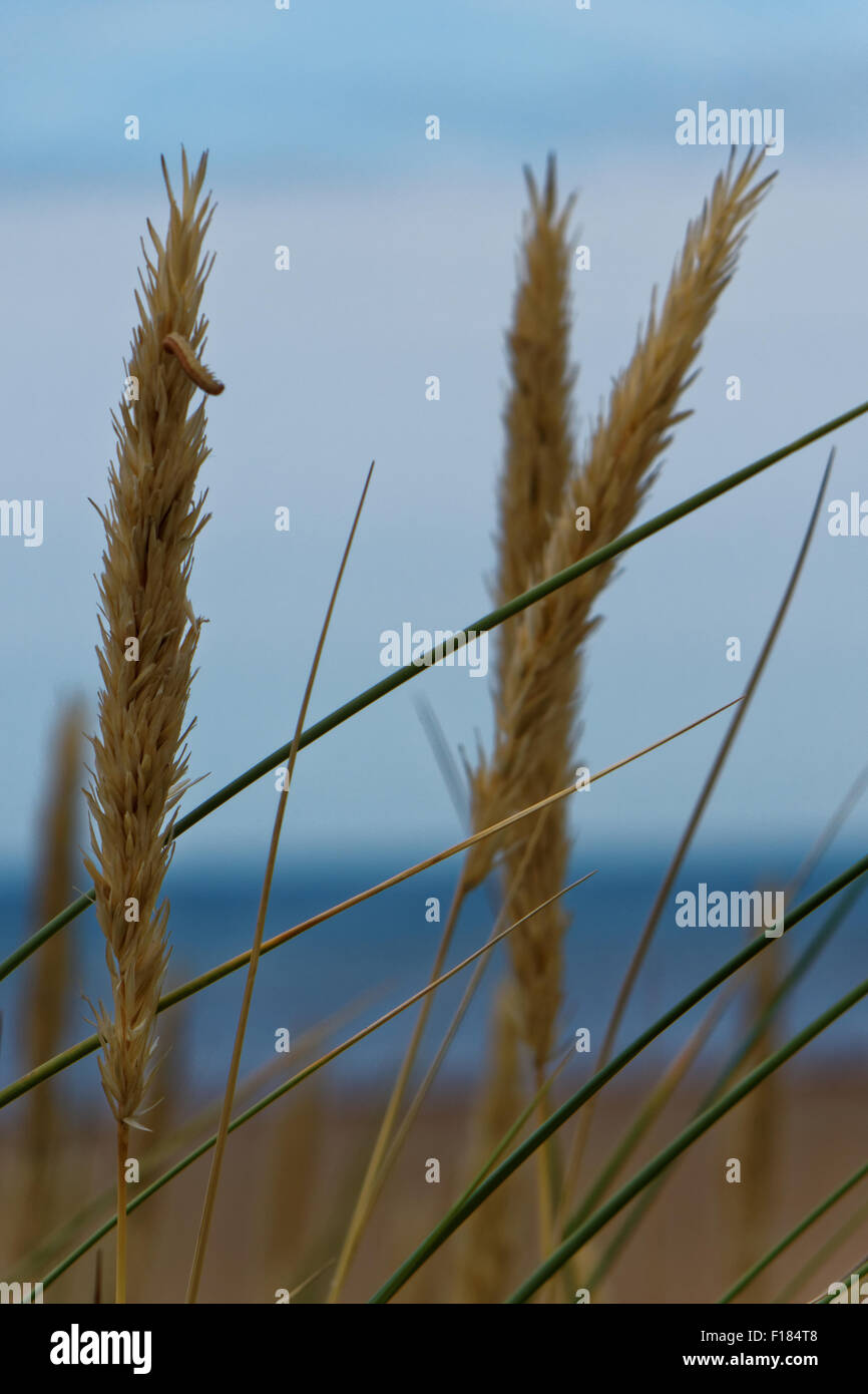 Sand seam hi-res stock photography and images - Alamy