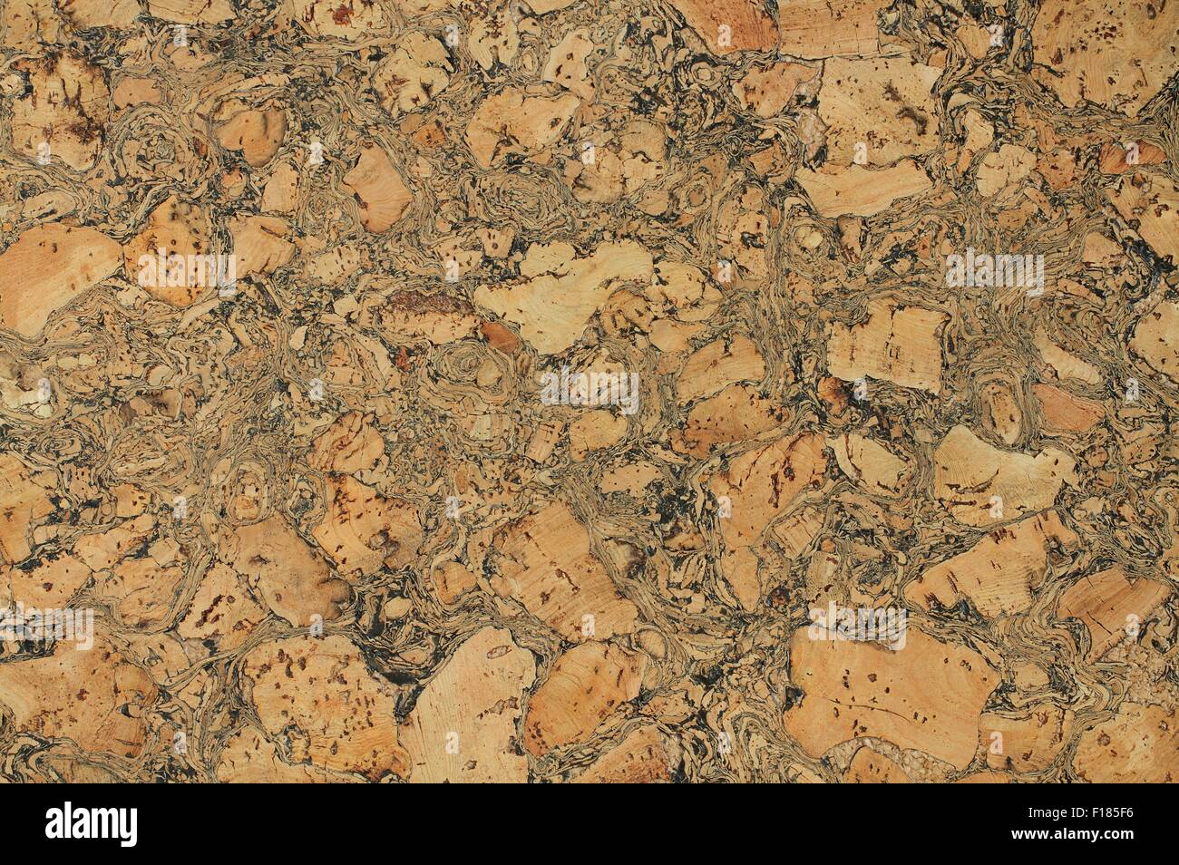 Light brown cork-wood panel - background Stock Photo - Alamy