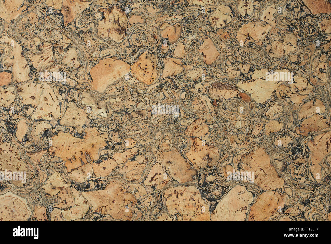 Light brown cork-wood panel - background Stock Photo - Alamy