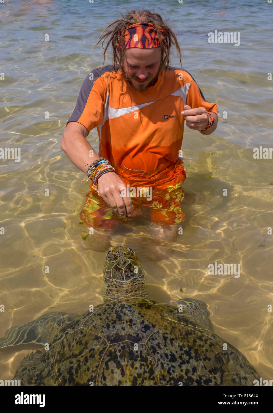 Hawksbill sea turtle florida hi-res stock photography and images - Alamy