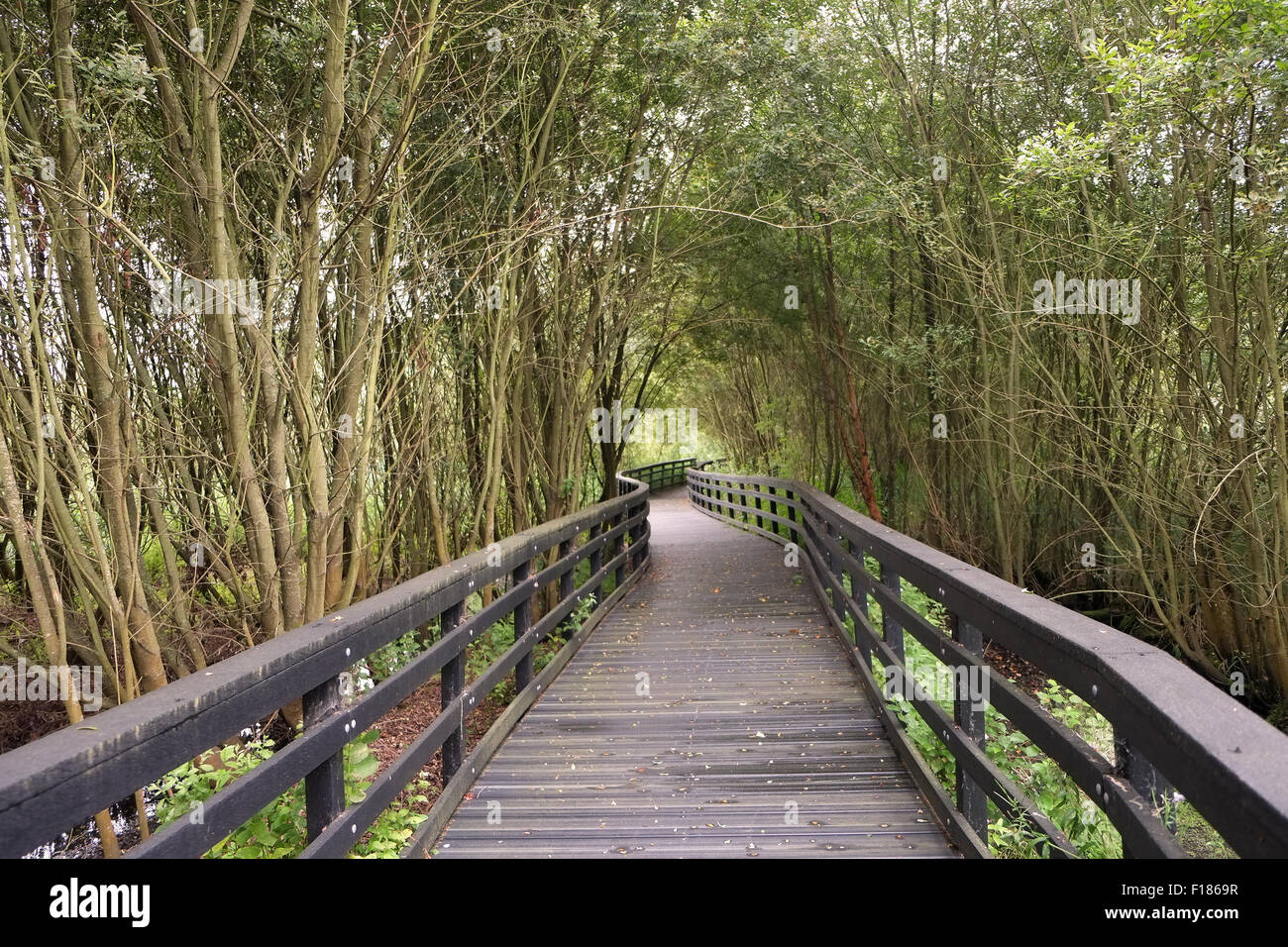 Recycled plastic walkway hi-res stock photography and images - Alamy