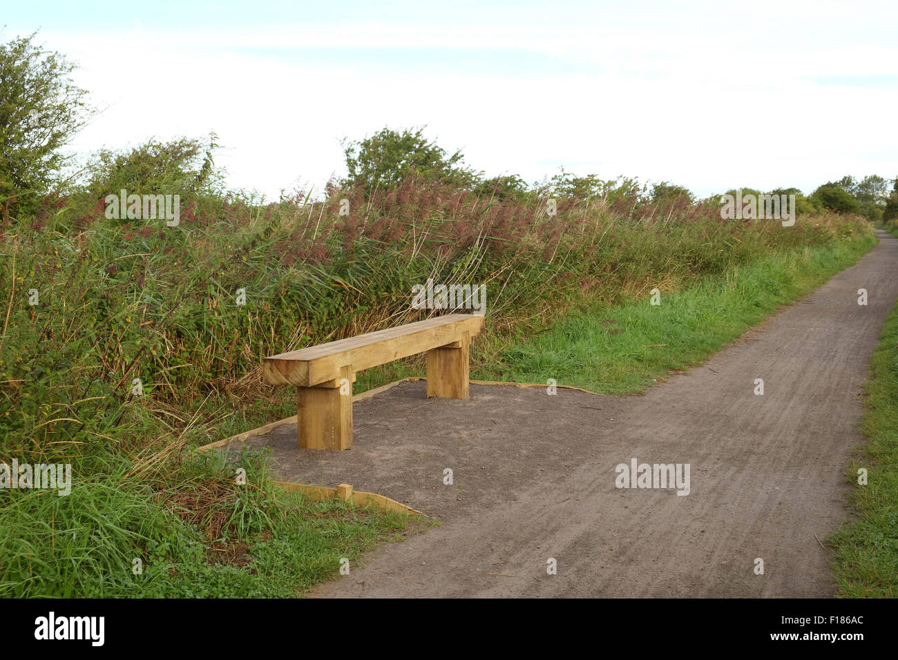 New bench beside a popular cycle track in North Somerset, Neat Yatton ...
