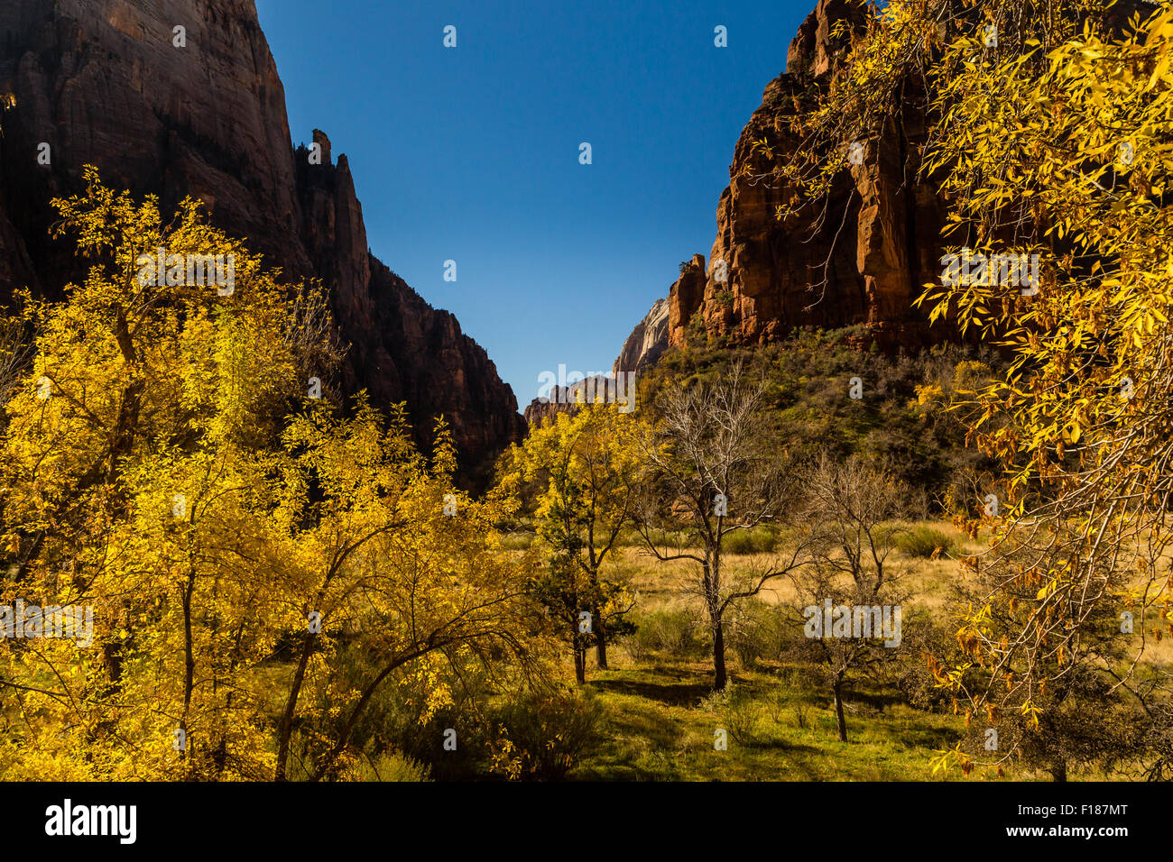 Beautiful autumn mountain canyon utah hi-res stock photography and ...