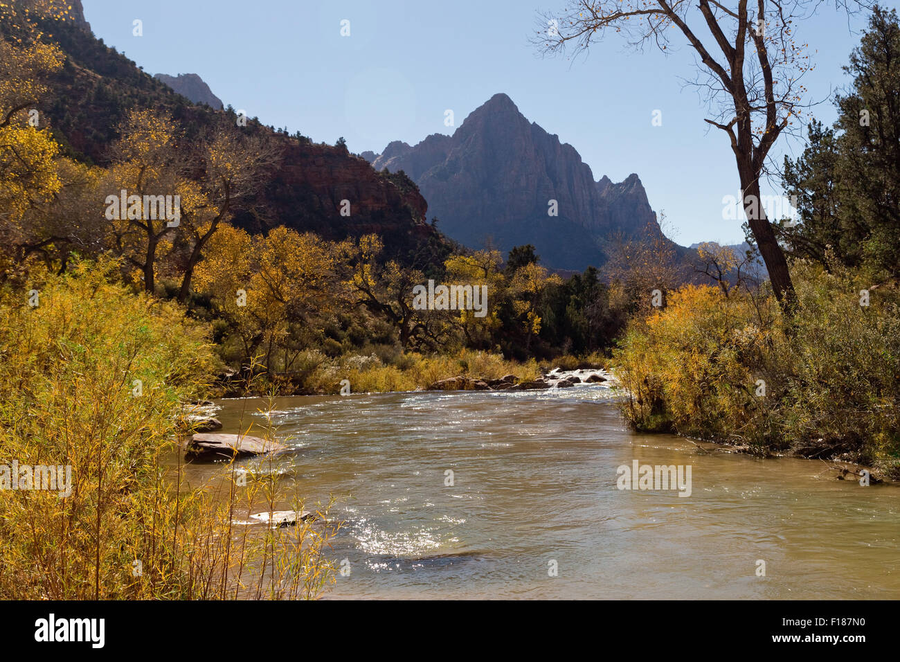 The Virgin River and The Watchman Stock Photo - Alamy