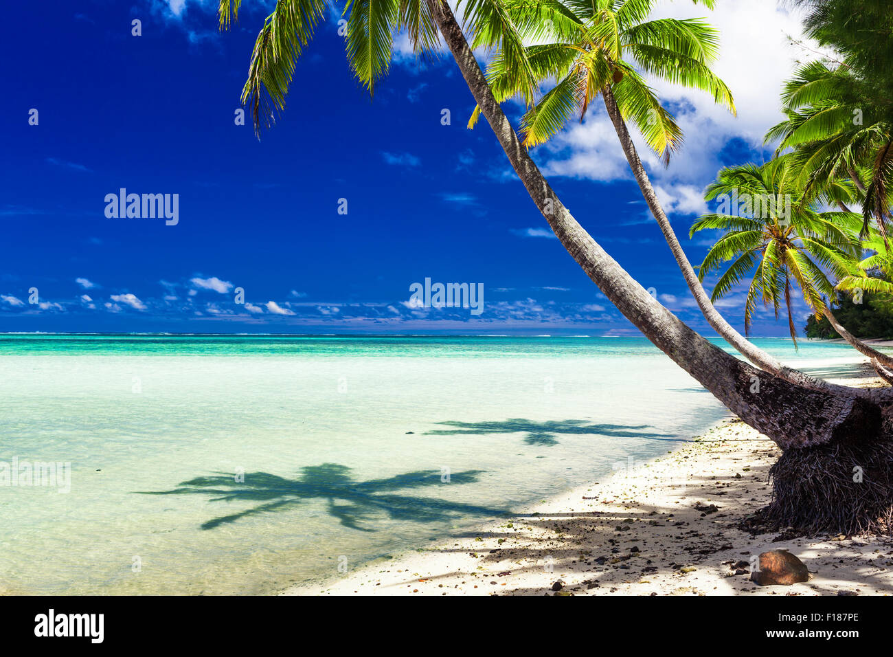 Small beach with palm trees over tropical water at Rarotonga, Cook ...