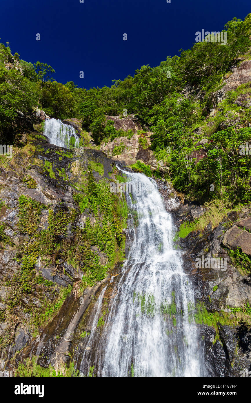 Stony Creek Falls 1 waterfall, Kuranda, Queensland, Australia Stock ...