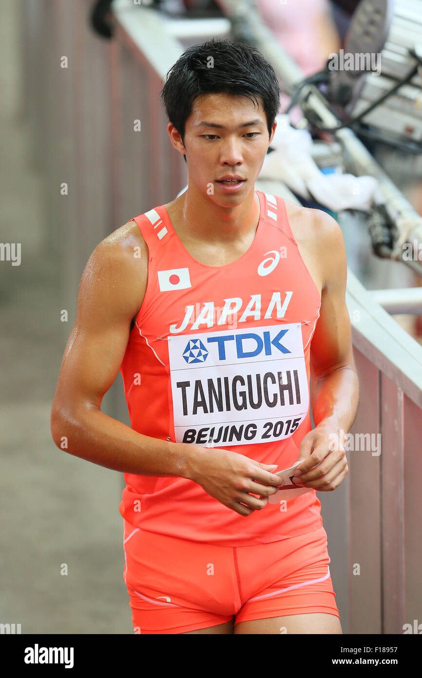 Kotaro taniguchi hi-res stock photography and images - Alamy