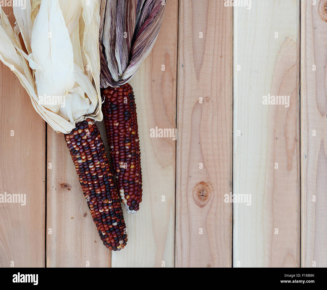 Indian corn farming hi-res stock photography and images - Alamy