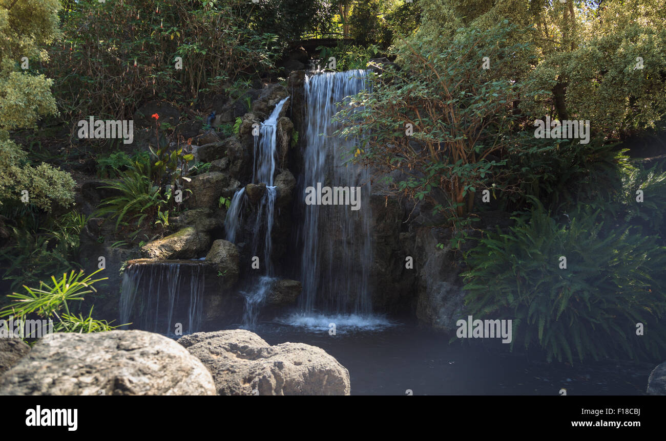Deep tropical forest waterfall in Hawaii in Spring Stock Photo - Alamy