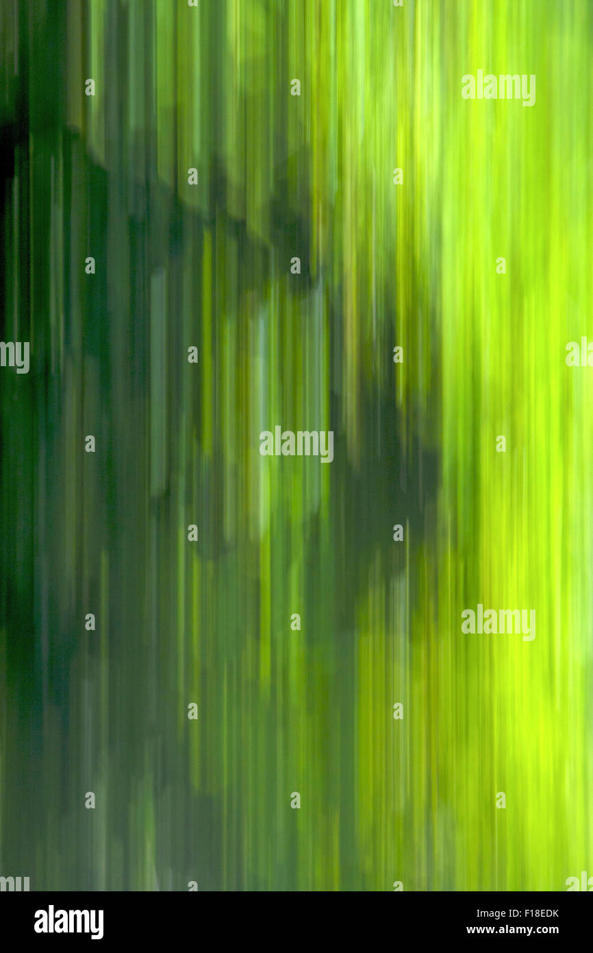 green nature background fast line Stock Photo - Alamy