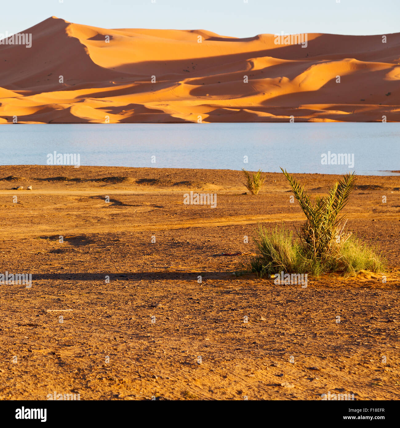sunshine in the desert of morocco sand and lake dune Stock Photo - Alamy