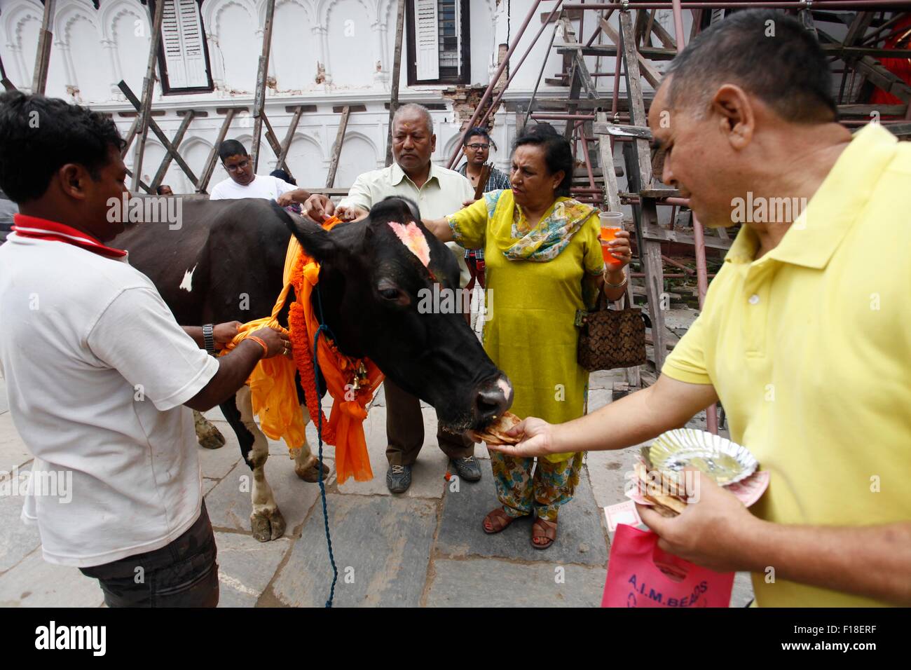 Kathmandu, Nepal. 30th Aug, 2015. A holy cow is taken to a parade ...