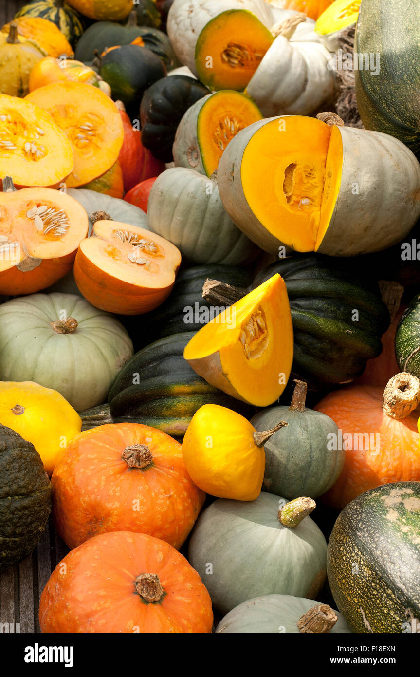mixed variety of pumpkins Stock Photo - Alamy