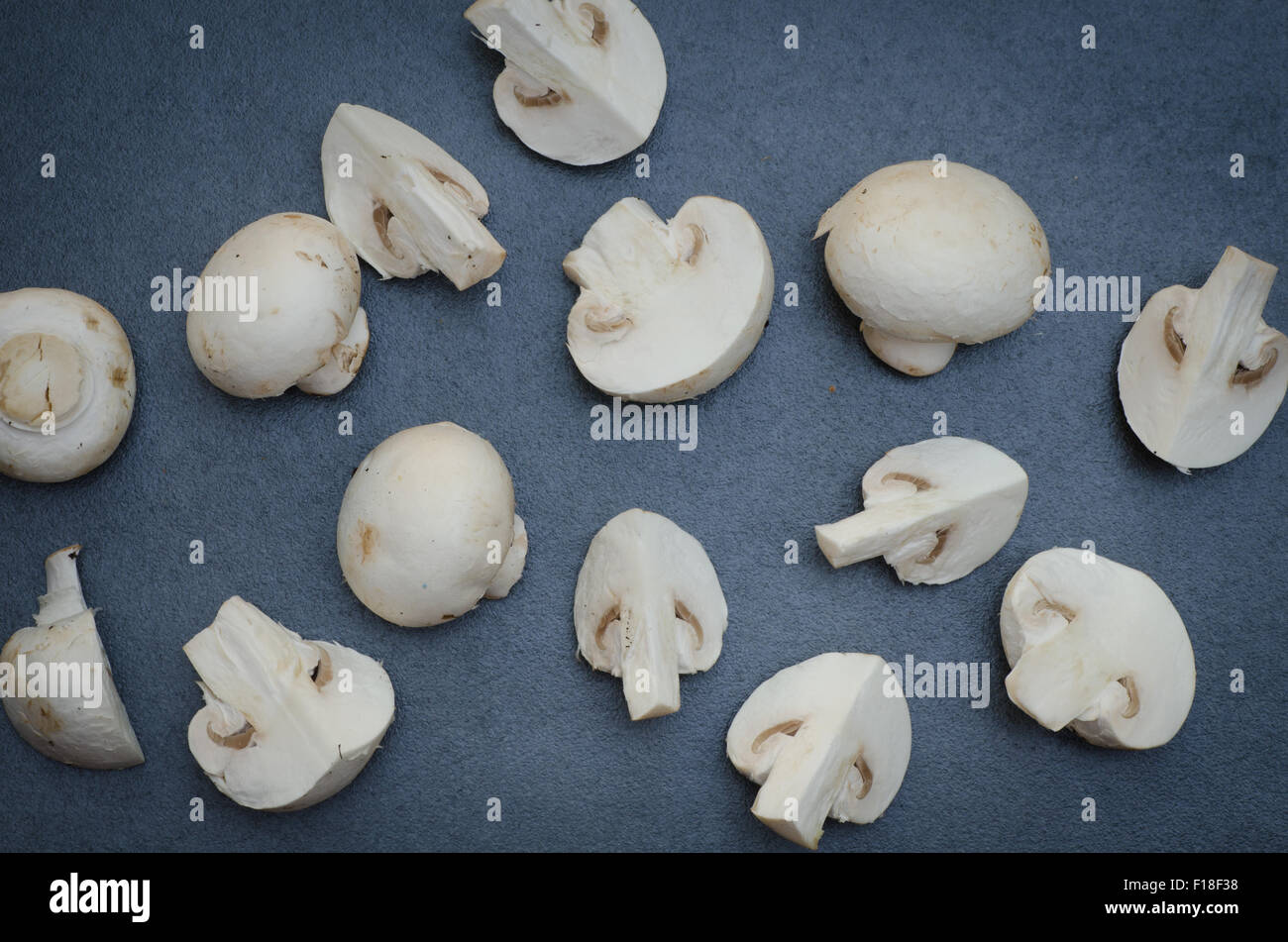 Closeup view mushrooms on hi-res stock photography and images - Alamy