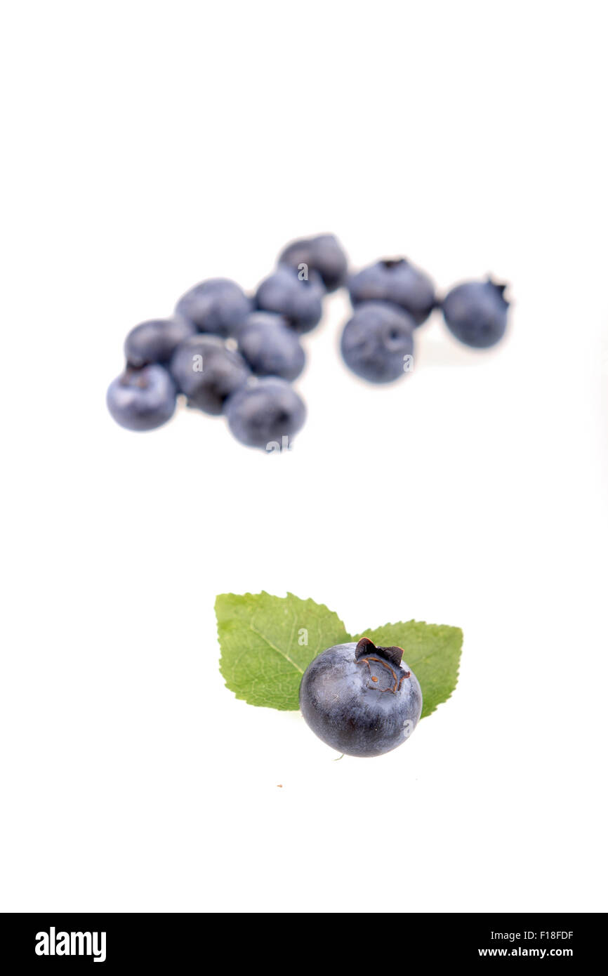 Blueberry leaves isolated on white hi-res stock photography and images ...