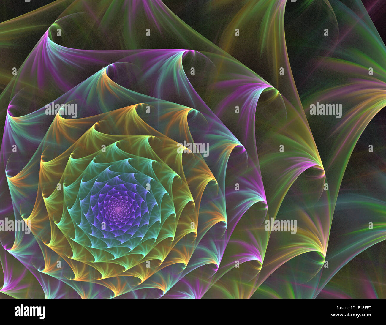 Magenta shell hi-res stock photography and images - Alamy