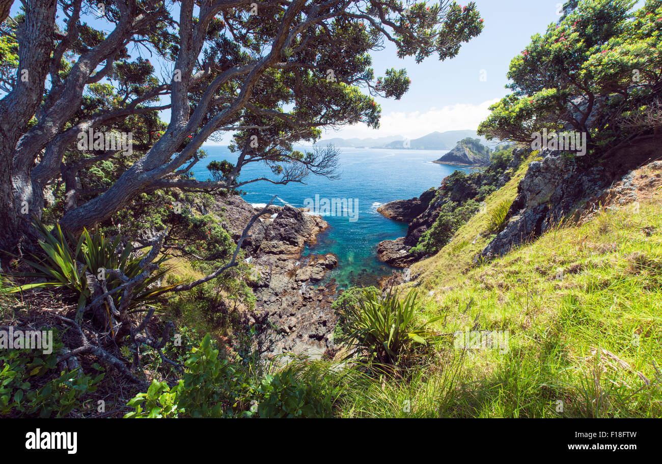 Bay of islands new zealand hi-res stock photography and images - Alamy
