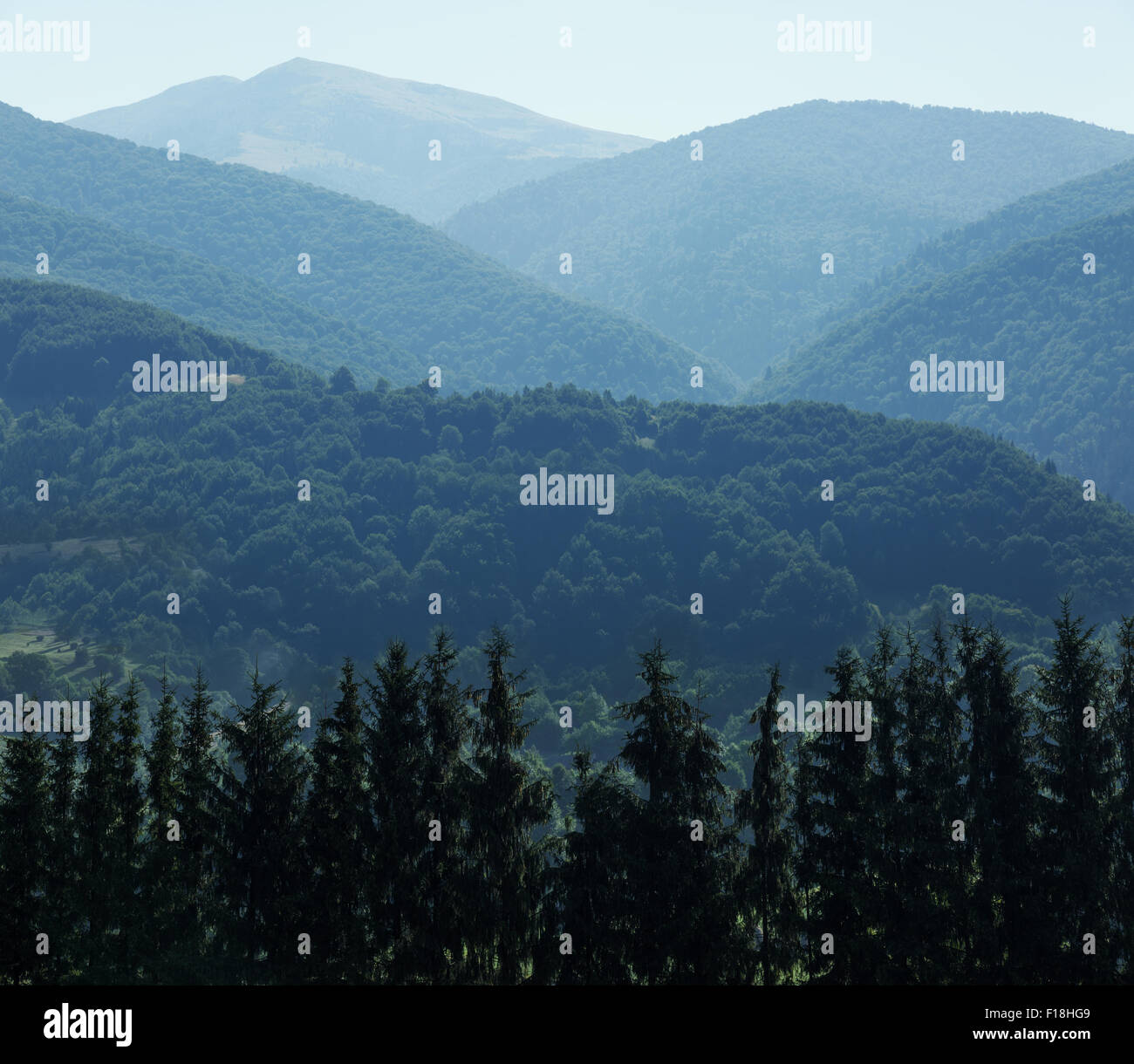 Beautiful carpathian mountains summer hi-res stock photography and ...