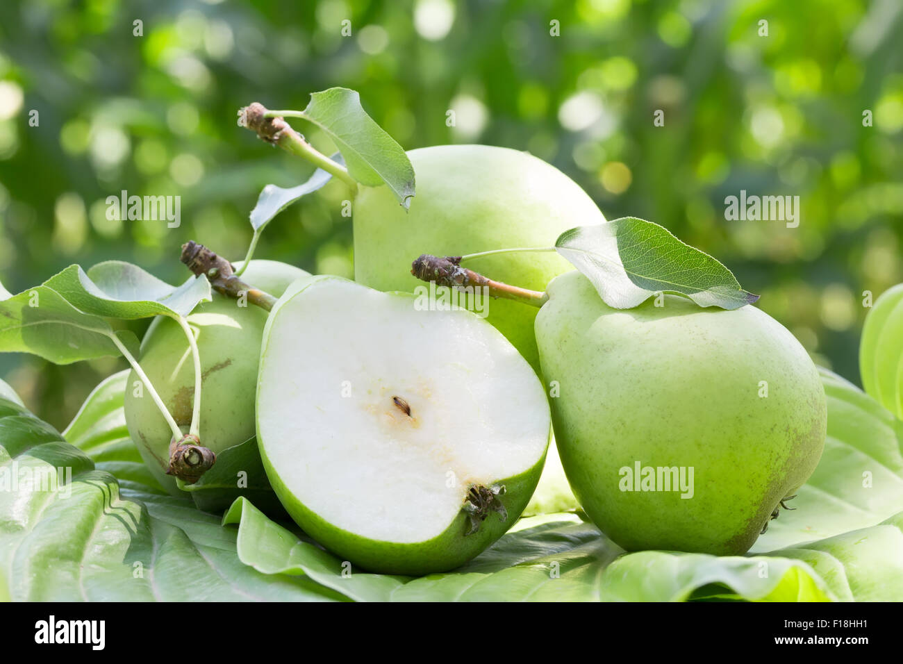 Williams pear hi-res stock photography and images - Alamy