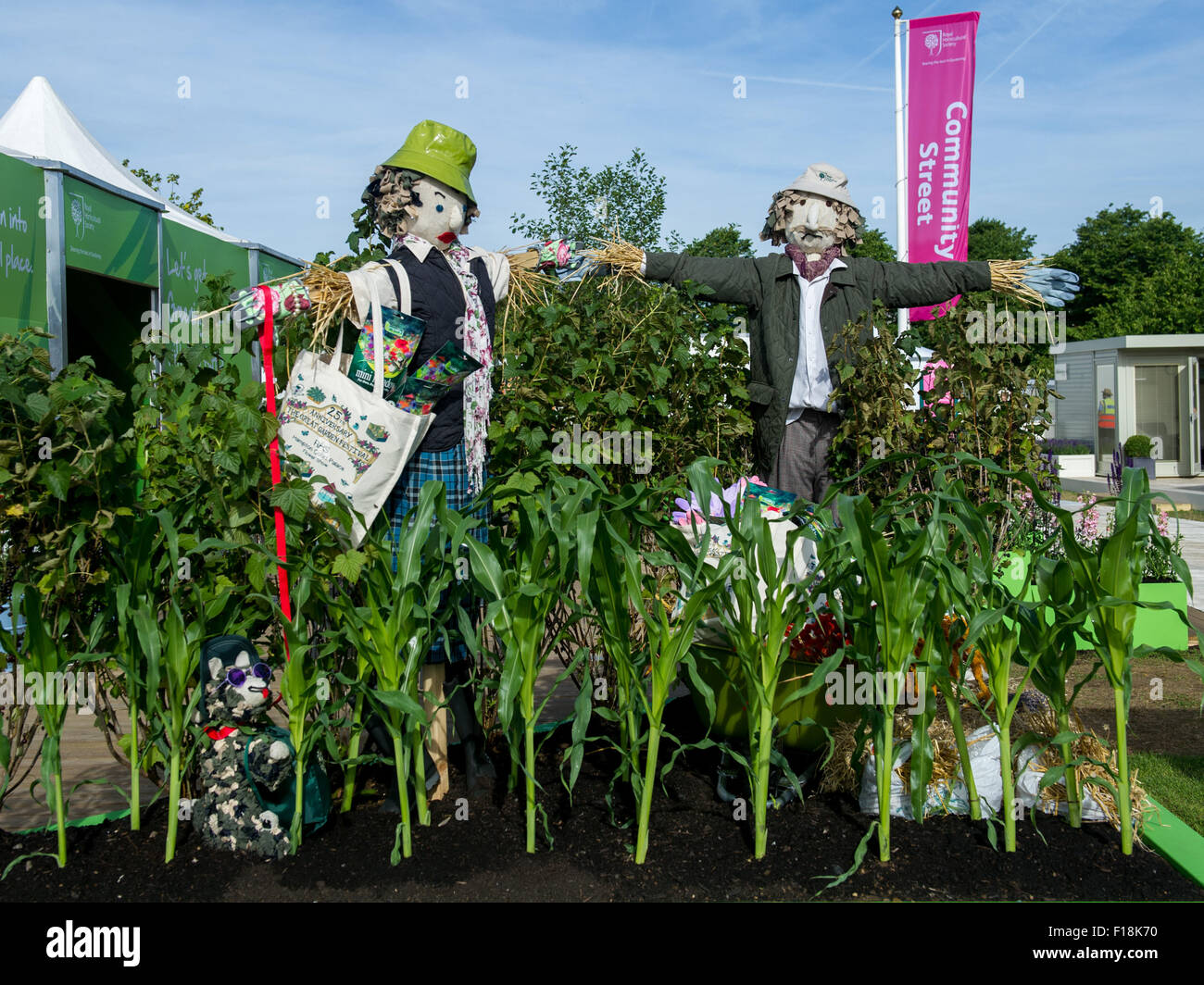 RHS Hampton Court Palace Flower Show 2015, Press Day. Featuring: View ...
