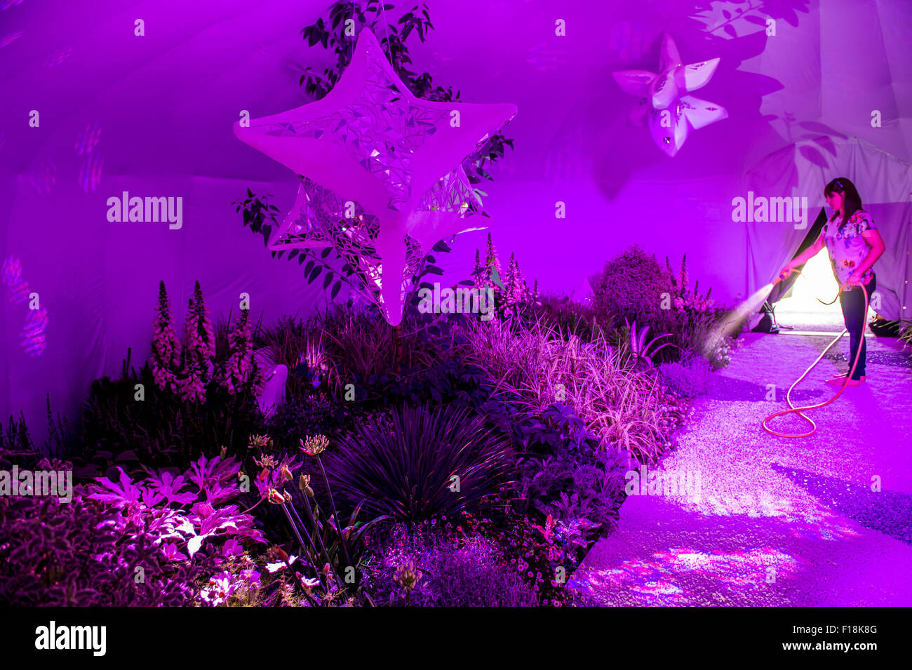 RHS Hampton Court Palace Flower Show 2015, Press Day. Featuring: View ...