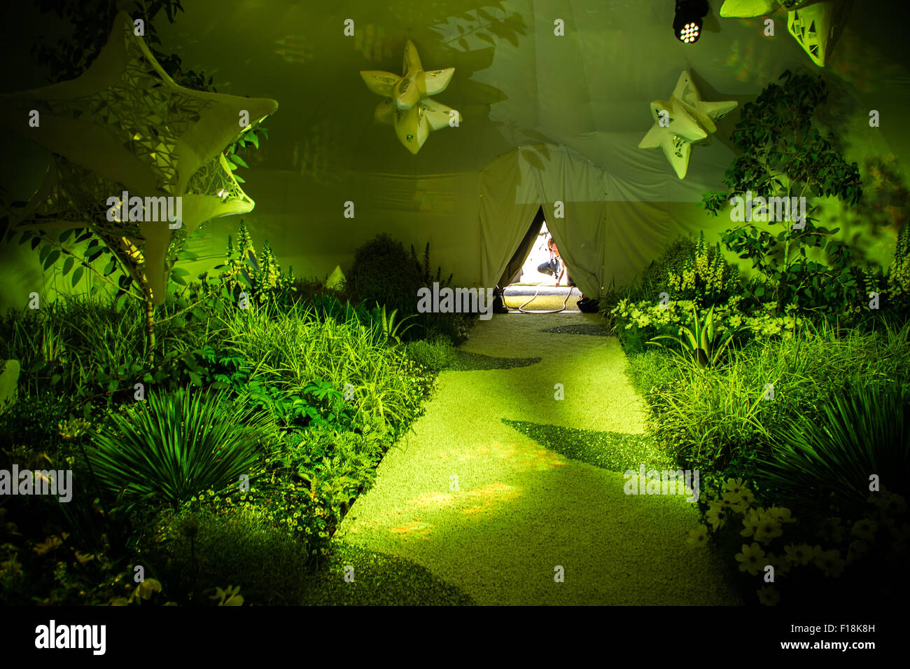 RHS Hampton Court Palace Flower Show 2015, Press Day. Featuring: View ...