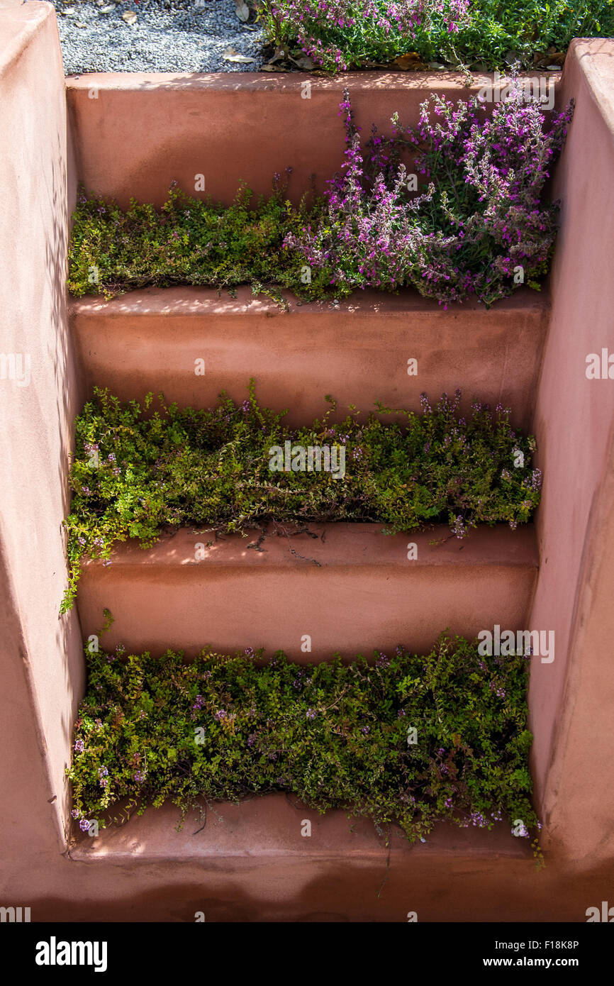 RHS Hampton Court Palace Flower Show 2015, Press Day. Featuring: View ...