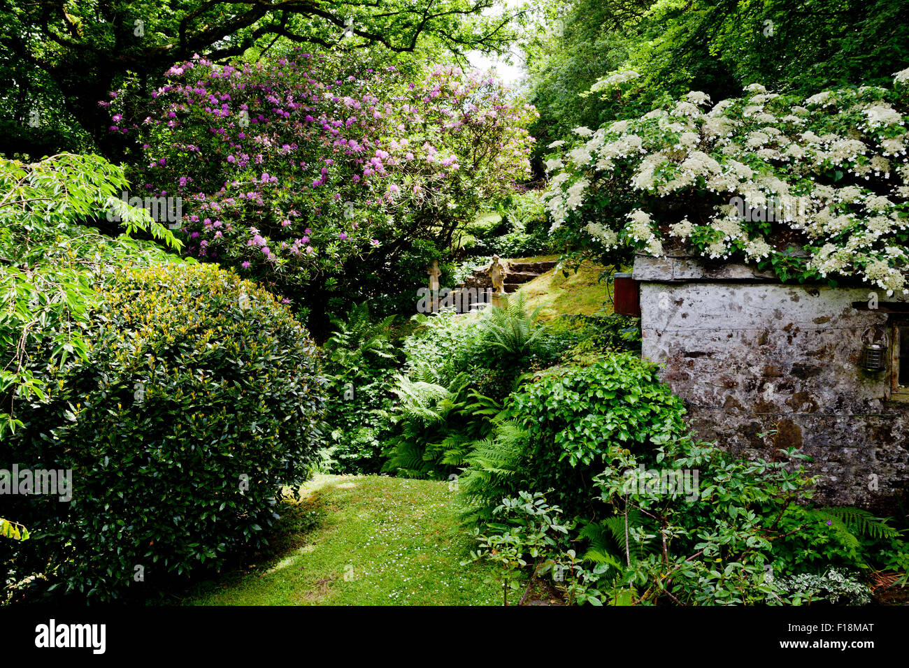An shady outbuilding with roof covered by a climbing plant at Docton ...