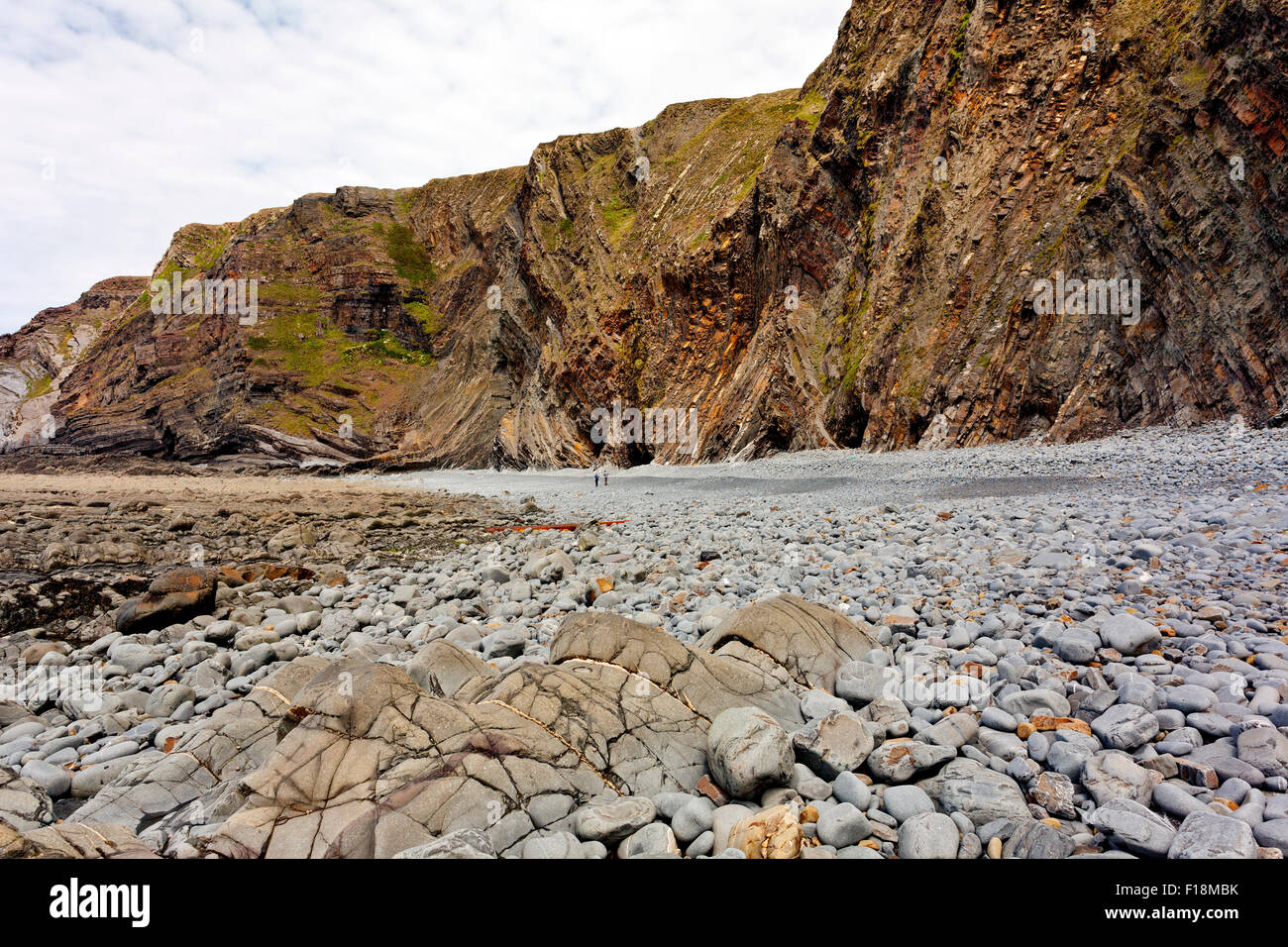 The dramatic folded and tilted rock strata at Hartland Quay, north ...