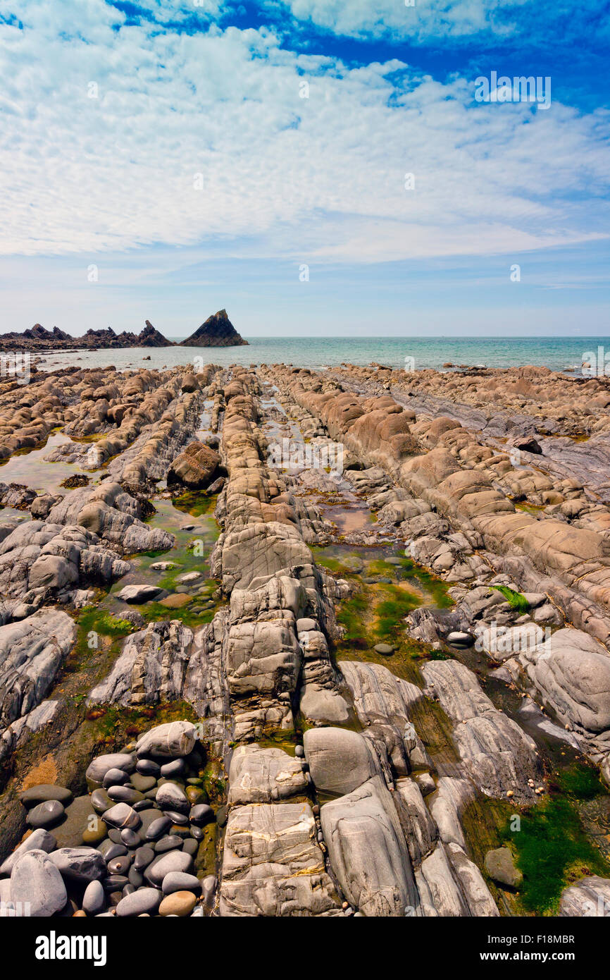 Rock pools on the foreshore at Hartland Quay, north Devon, England, UK ...